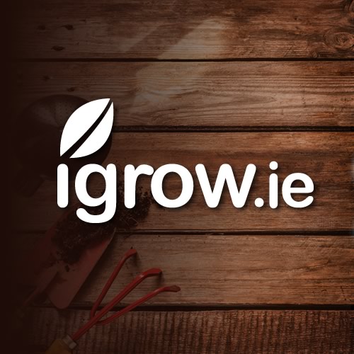 iGrow - Insight Multimedia