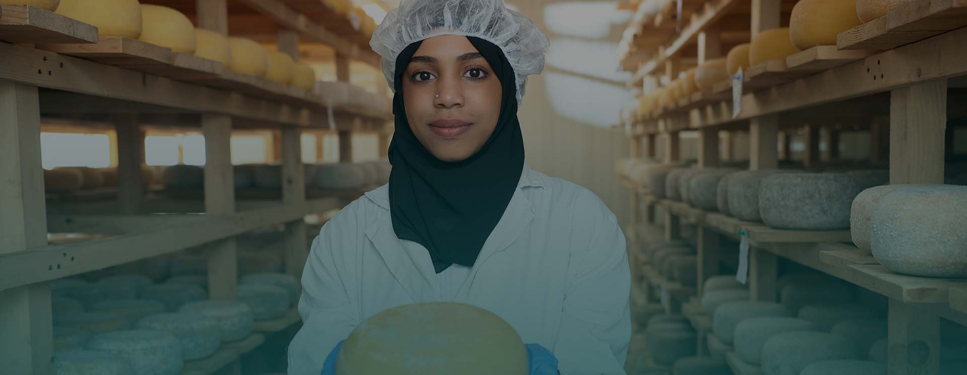 CSARIDE - Insight Multimedia