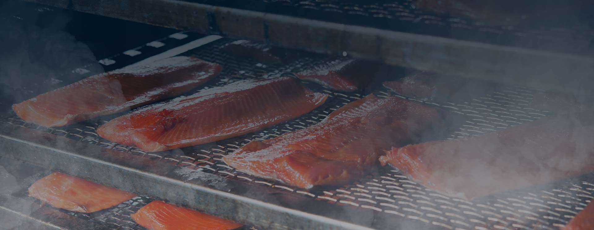 Good Fish Processing - Insight Multimedia